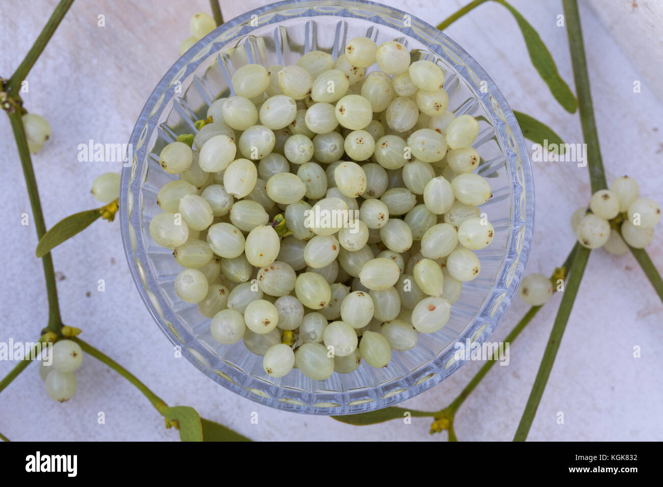 Gui blanc hi-res stock photography and images - Alamy