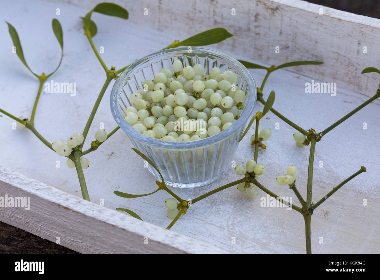 Gui blanc hi-res stock photography and images - Alamy