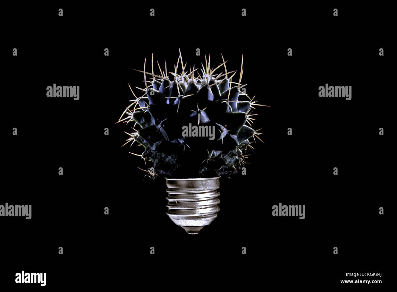 Digital manipulation of a bulb light and cactus on dark background ...