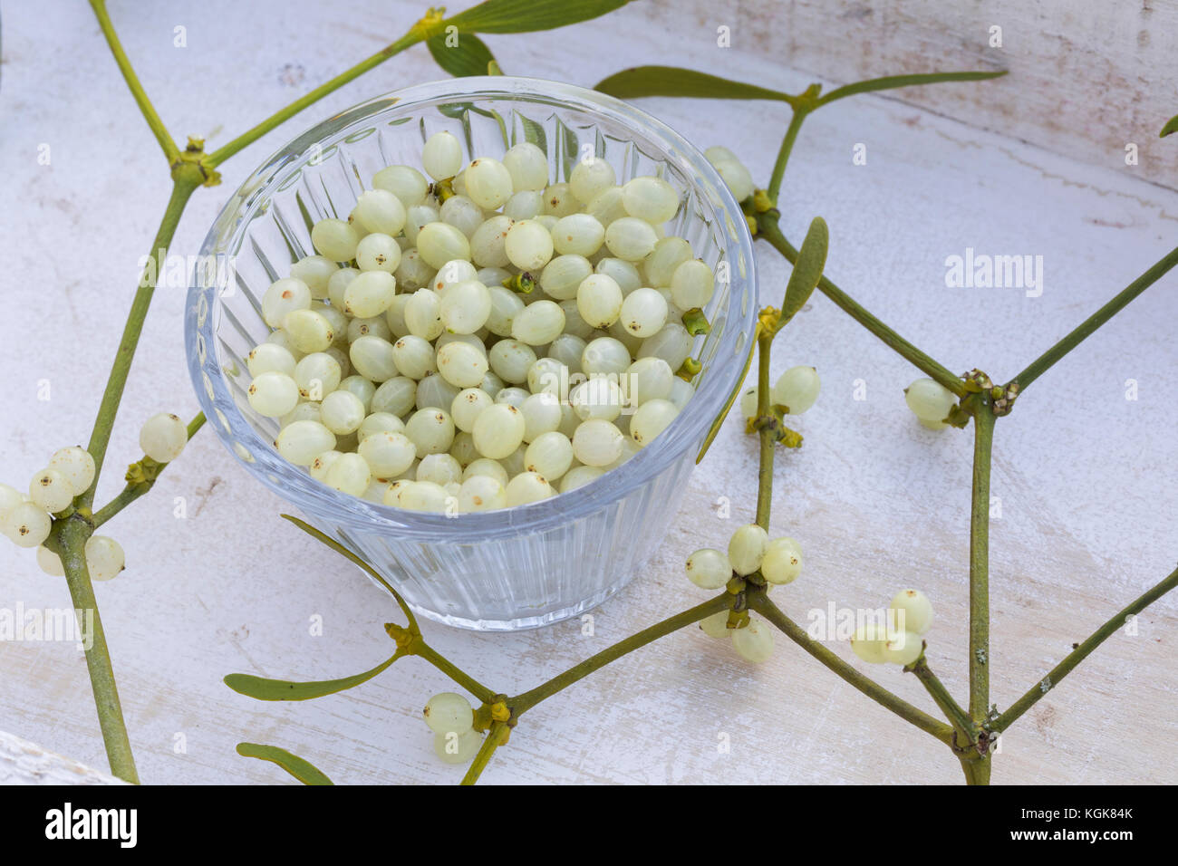 Gui blanc hi-res stock photography and images - Alamy