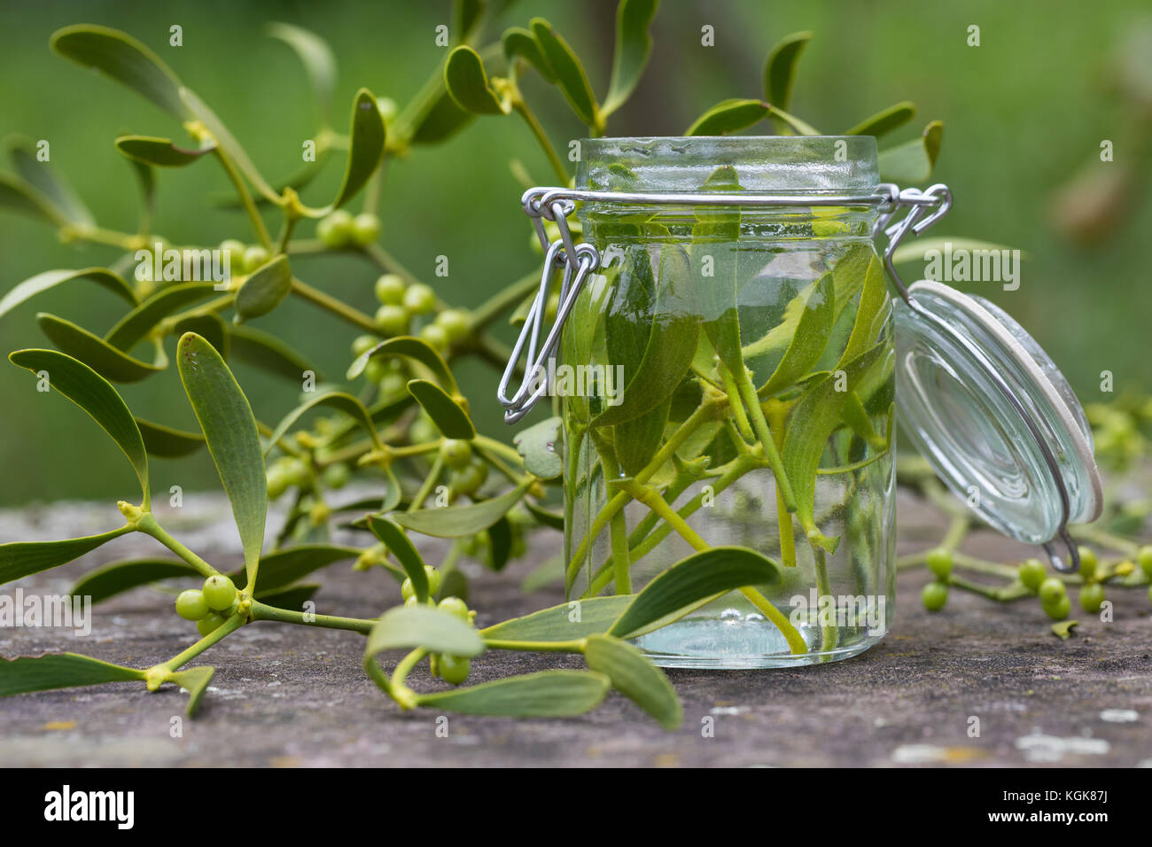 Mistel tinktur hi-res stock photography and images - Alamy