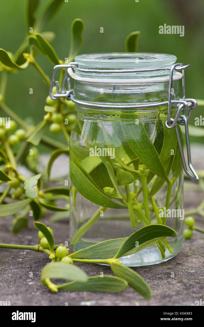 Mistel tinktur hi-res stock photography and images - Alamy