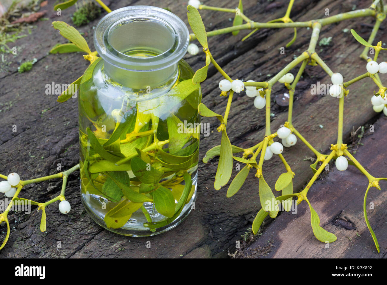 Gui blanc hi-res stock photography and images - Alamy