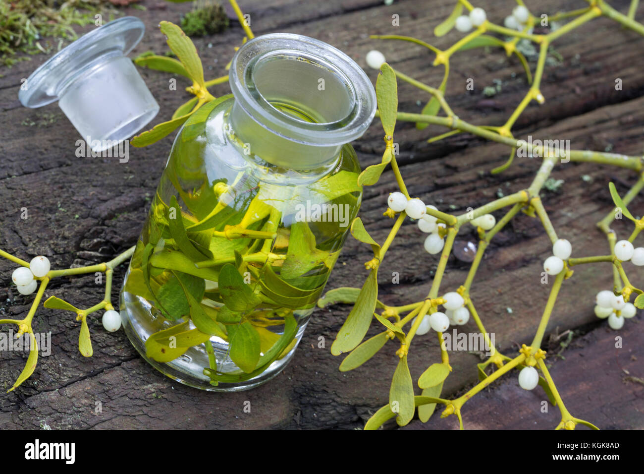 Mistel tinktur hi-res stock photography and images - Alamy