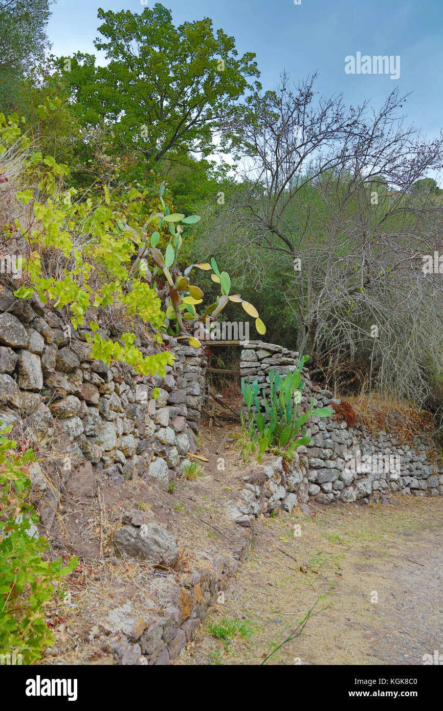 A stone wall in the countryside in the old village of Bortigali ...