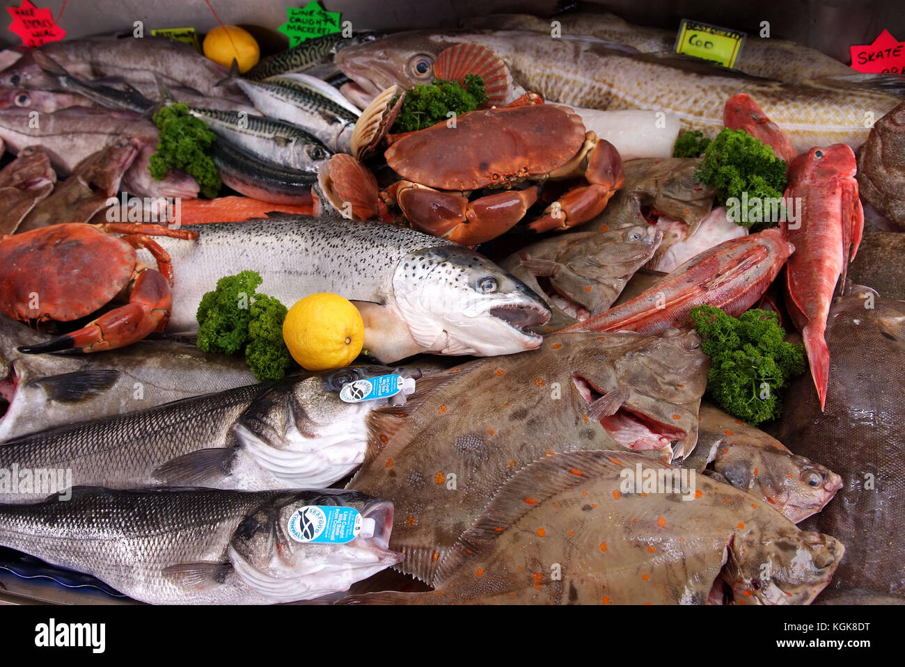 A selection of fish and shellfish on a fishmongers slab Stock Photo - Alamy