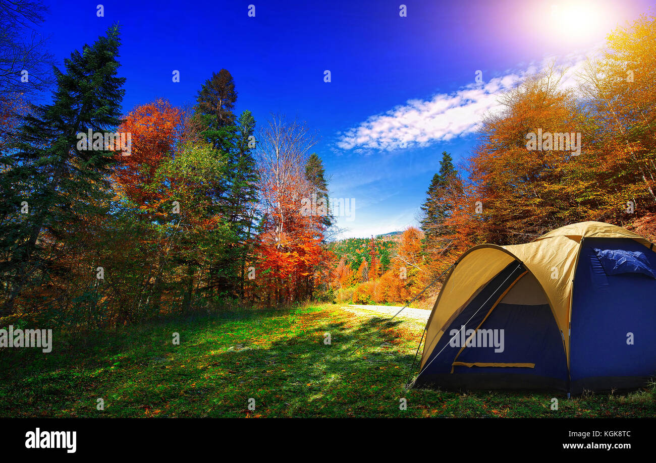 tent in a sunny forest Stock Photo - Alamy