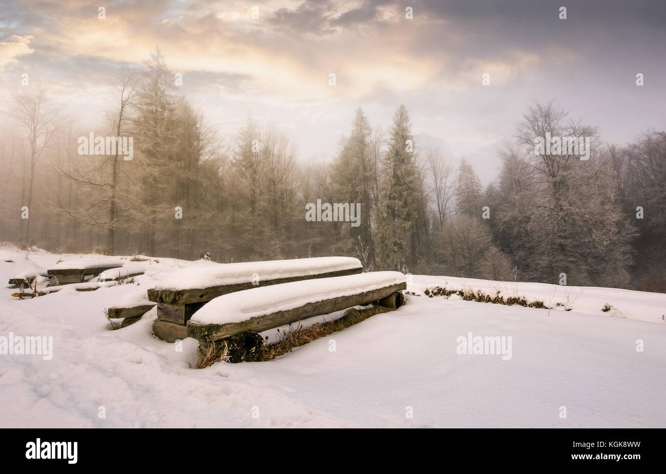 abandoned camping place in winter forest. amazing weather with ...