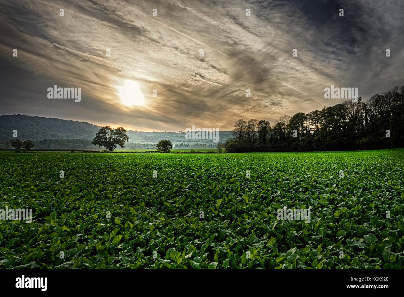 Brobury scar is near Monnington and Moccas Courts in Herefrodshire, UK ...