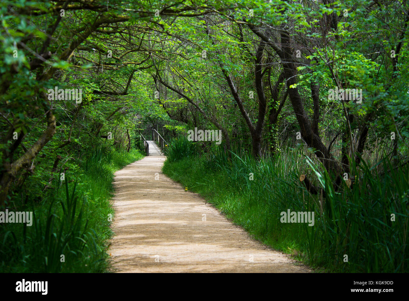 Fulles hi-res stock photography and images - Alamy