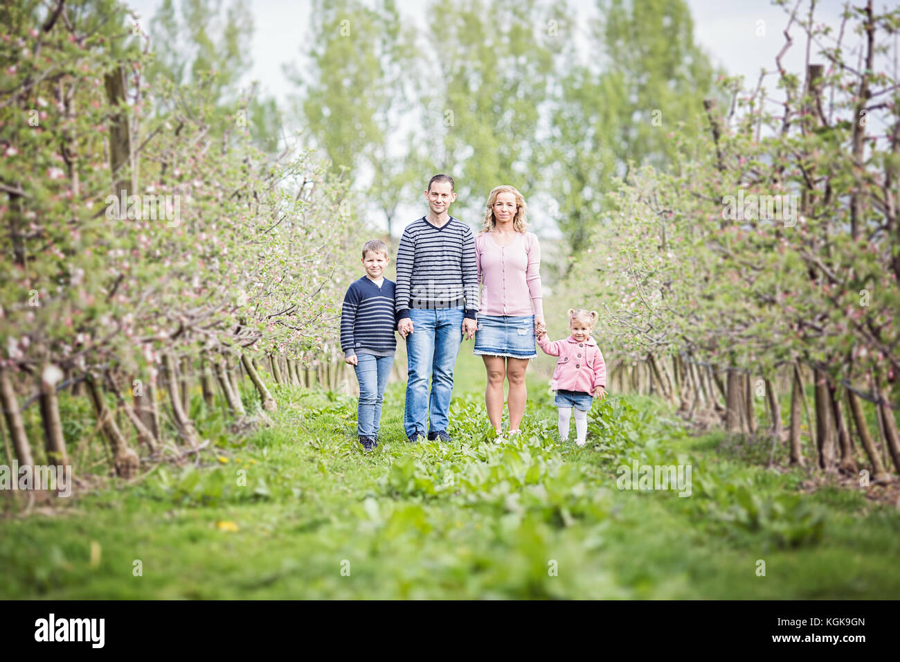 Happy young four member family standing together outdoors in orchard ...