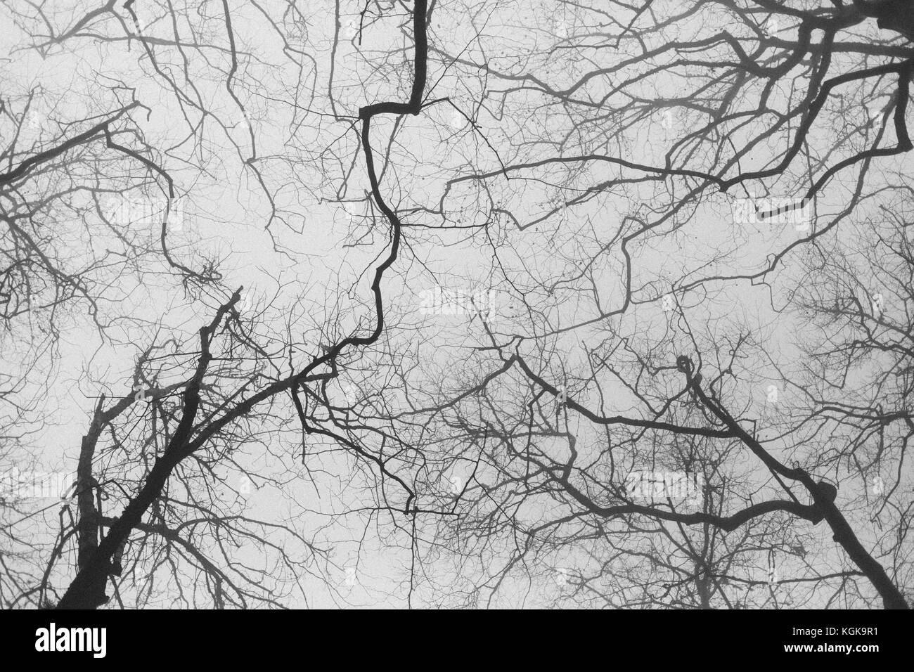 Sintra winter Black and White Stock Photos & Images - Alamy