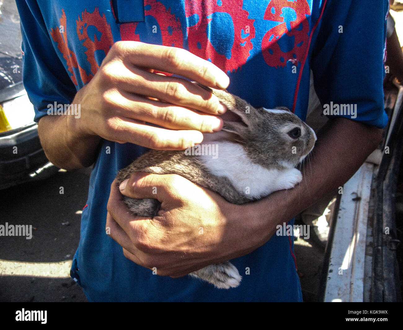 Erbil Capital of Iraqi Kurdistan Stock Photo - Alamy