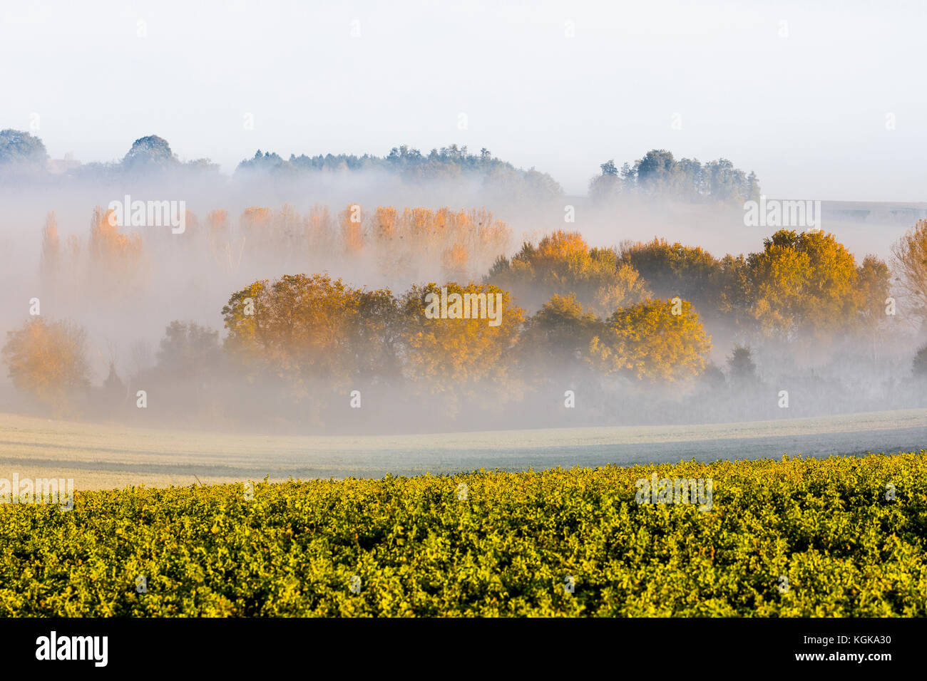 Mist landscape landscape trees hi-res stock photography and images - Alamy