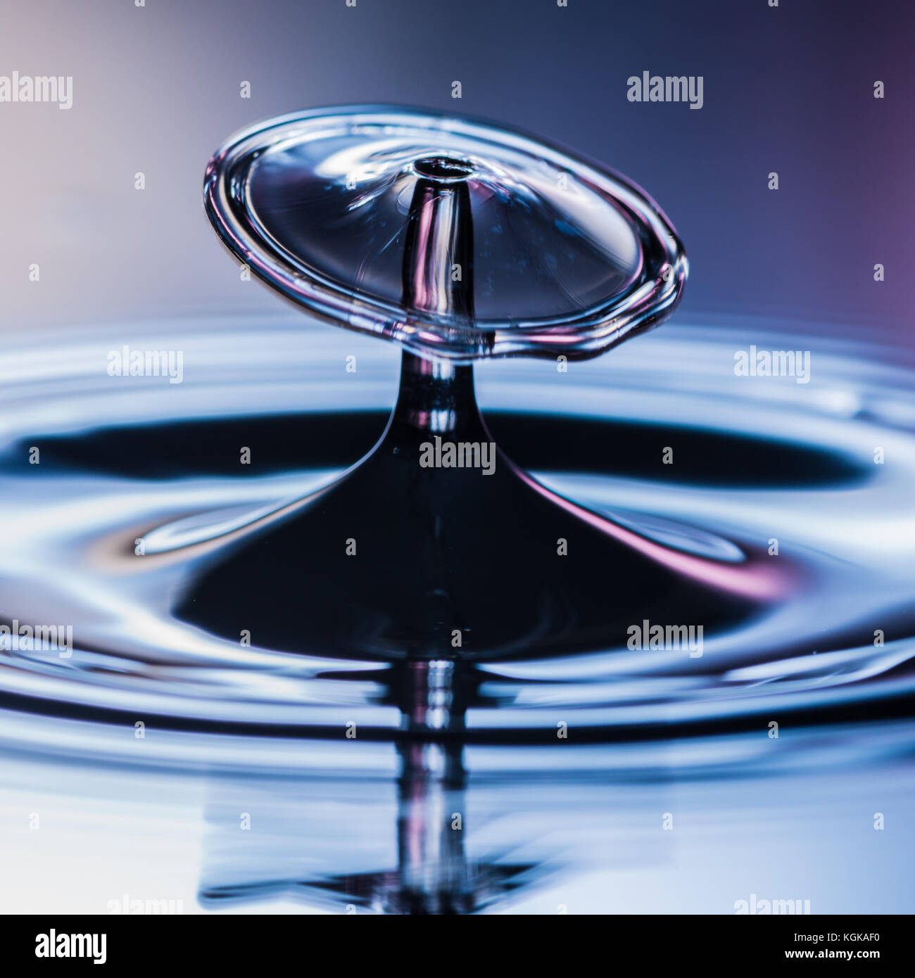 A macro shot of a water drop collision Stock Photo - Alamy