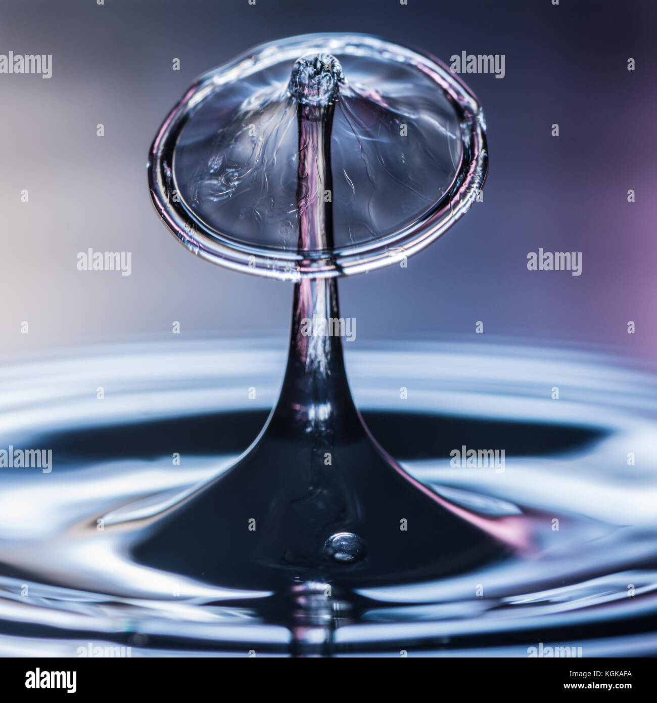 A macro shot of a water drop collision Stock Photo - Alamy