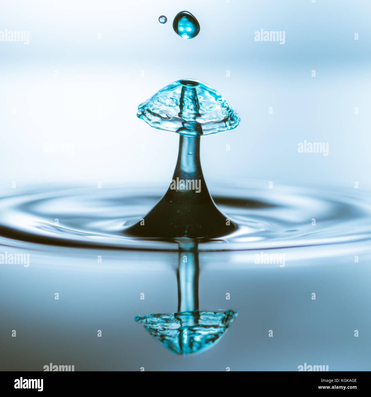 Umbrella water drop hi-res stock photography and images - Alamy