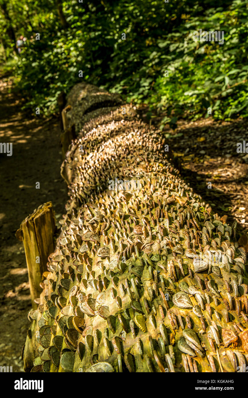 a wishing tree in the lake district. hammer a coin in the tree and make ...