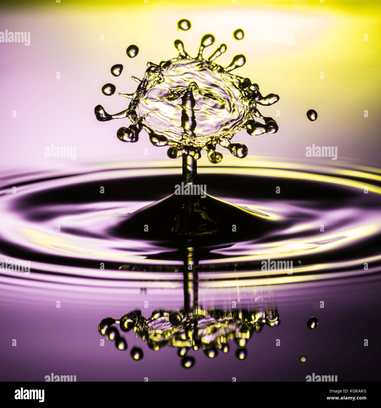 An abstract macro shot of a water drop collision Stock Photo - Alamy
