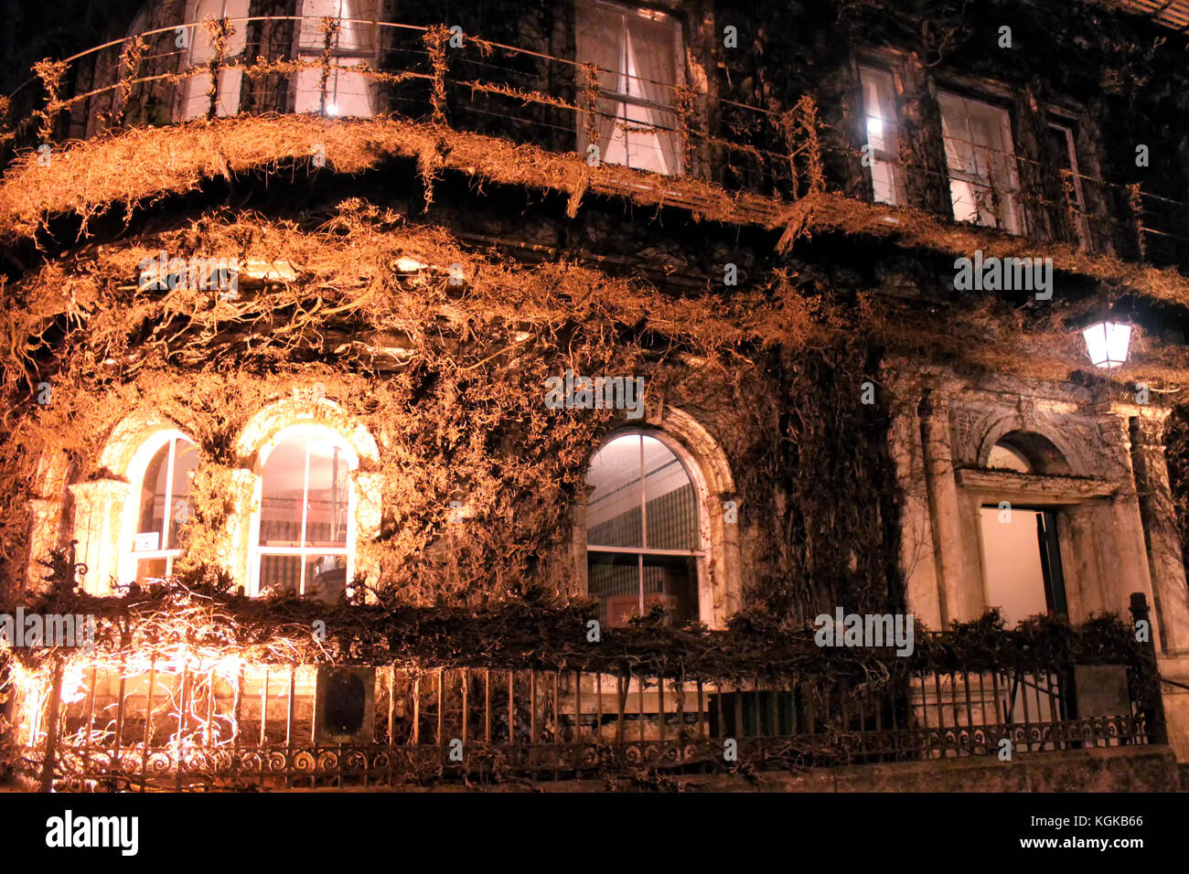 The Northern Club building covered in Virginia Creeper at night, lit by ...