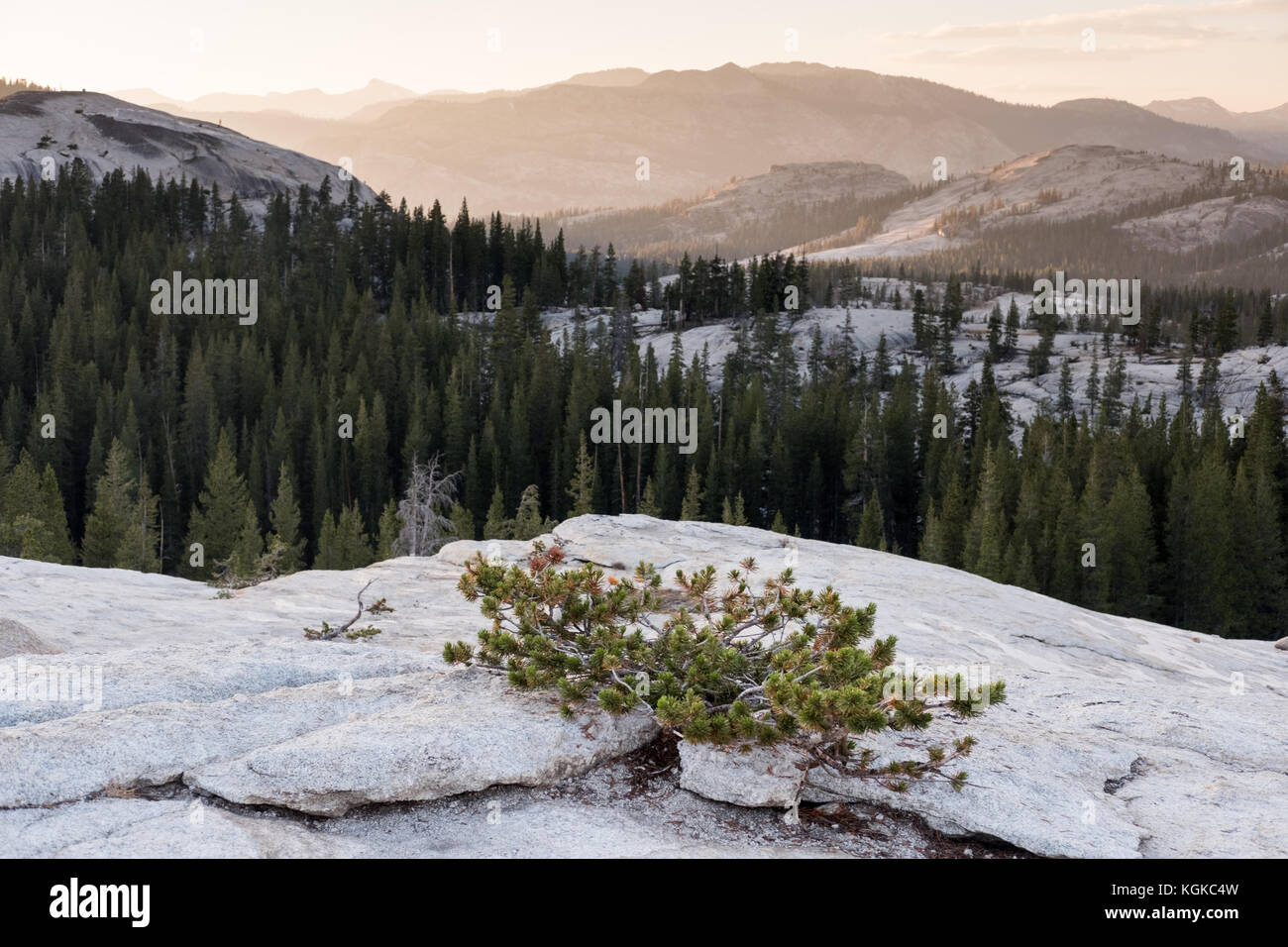 Pothole dome yosemite hi-res stock photography and images - Alamy
