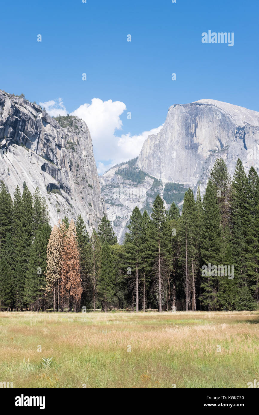 Grass dome hi-res stock photography and images - Alamy