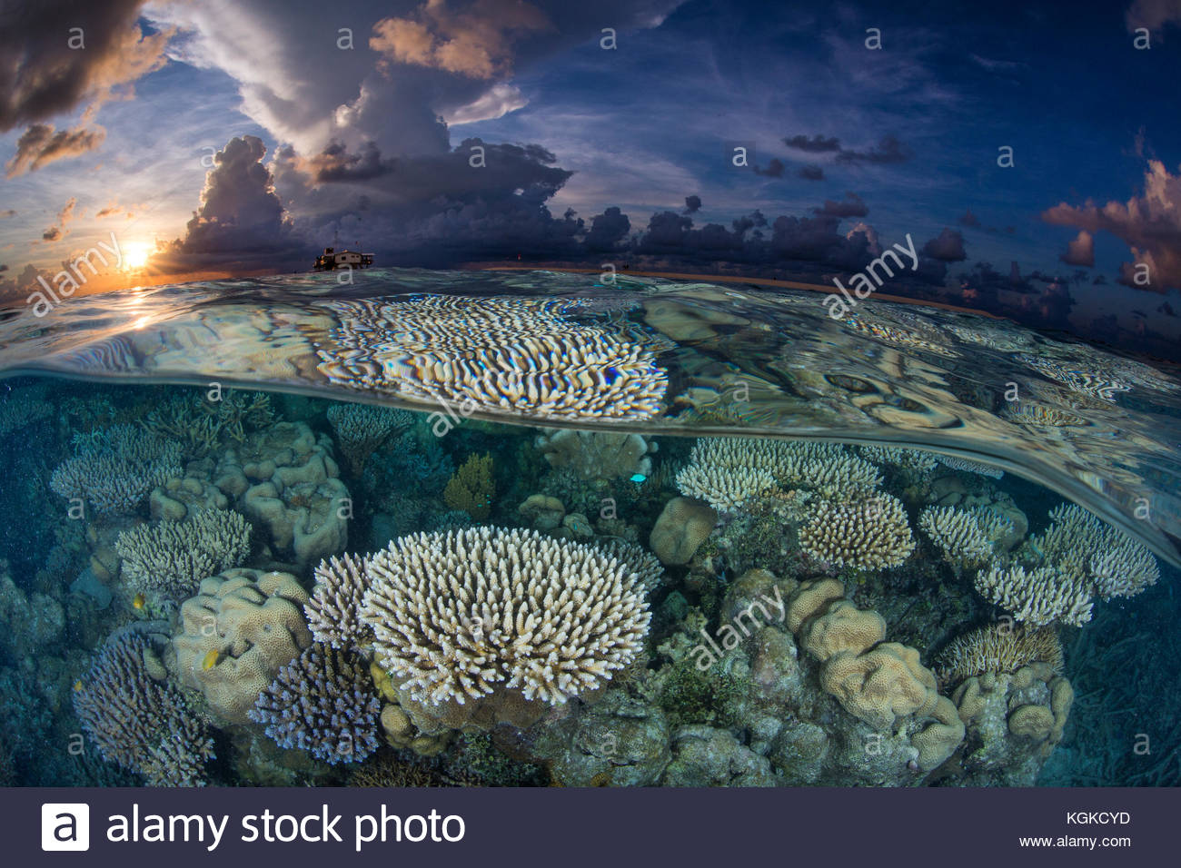 Shallow Sea Water High Resolution Stock Photography and Images - Alamy