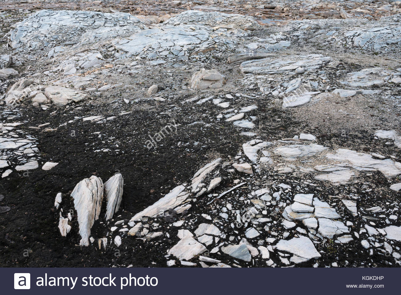 Limestone Soil Stock Photos & Limestone Soil Stock Images - Alamy