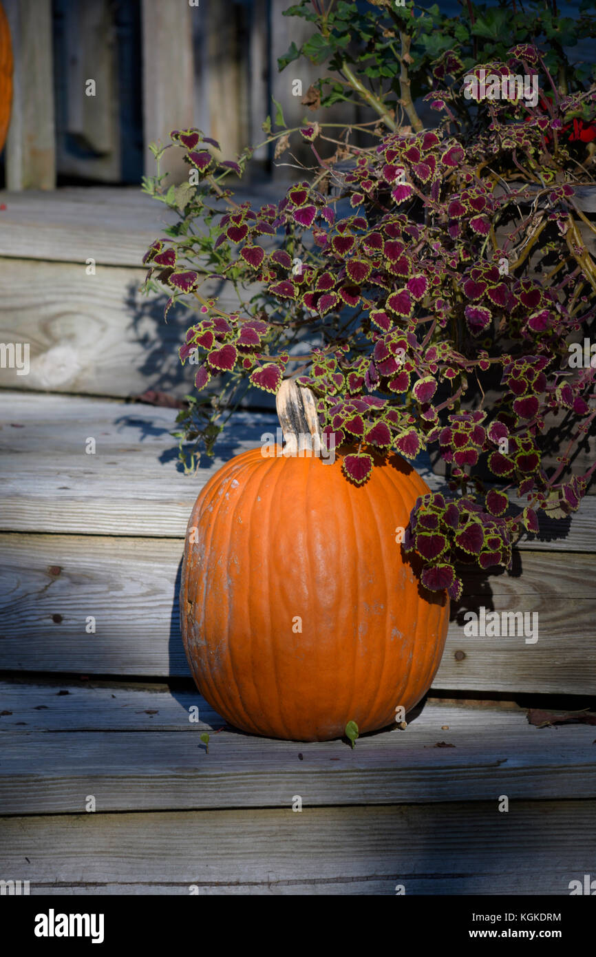 Roadside farm stand hi-res stock photography and images - Alamy