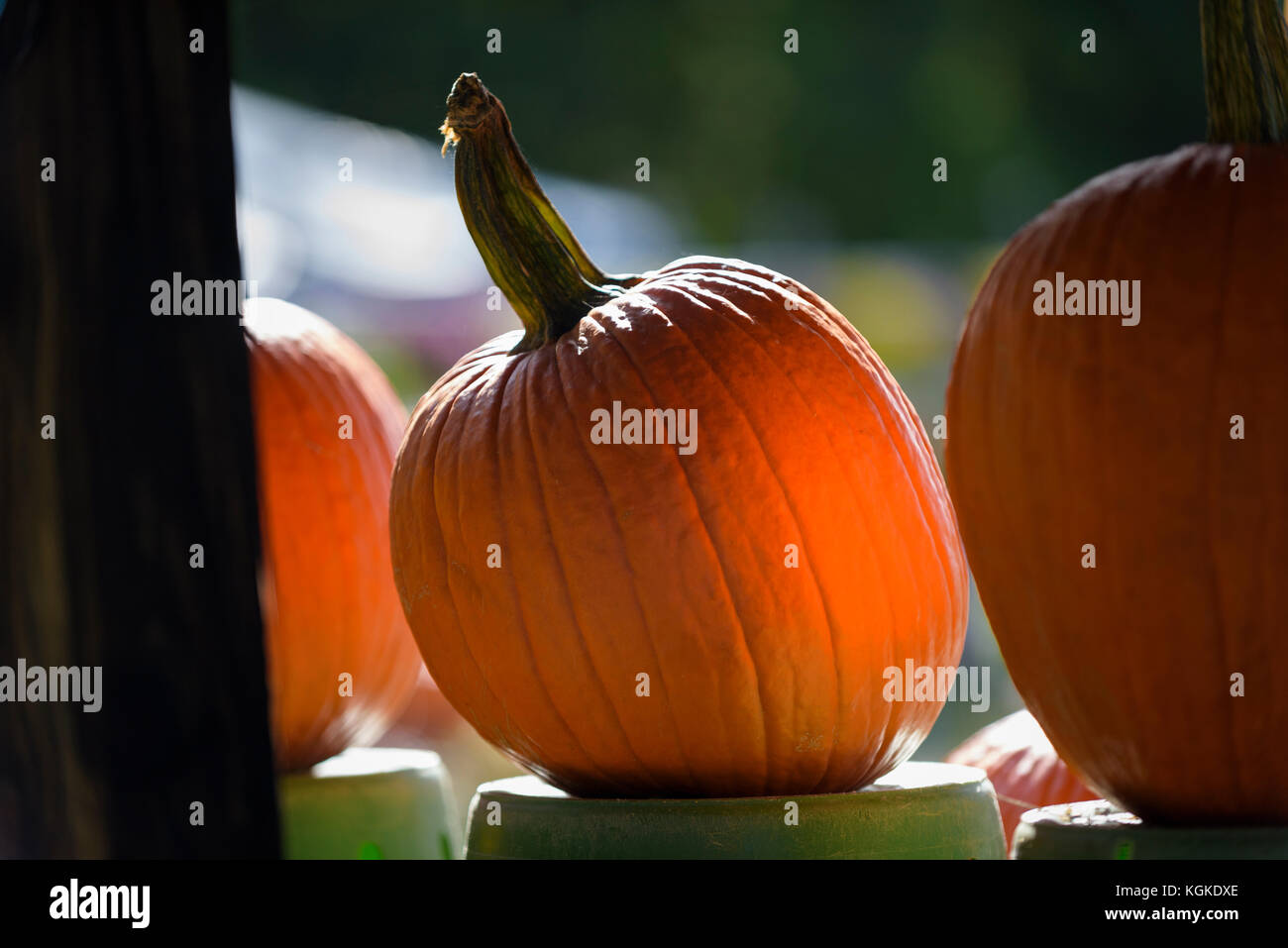 Pumpkins and produce on display at a roadside farm stand Stock Photo ...