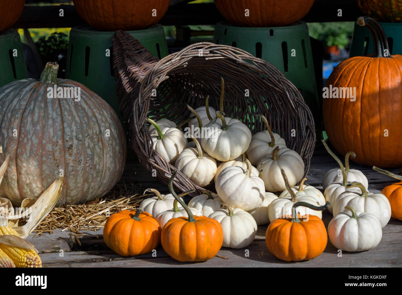 Pumpkins and produce on display at a roadside farm stand Stock Photo ...