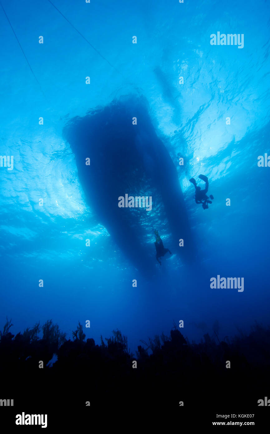 Scuba divers ascending Stock Photo - Alamy