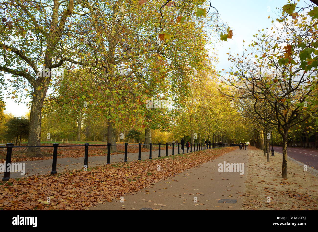 Autumn in Green Park, London, England Stock Photo - Alamy