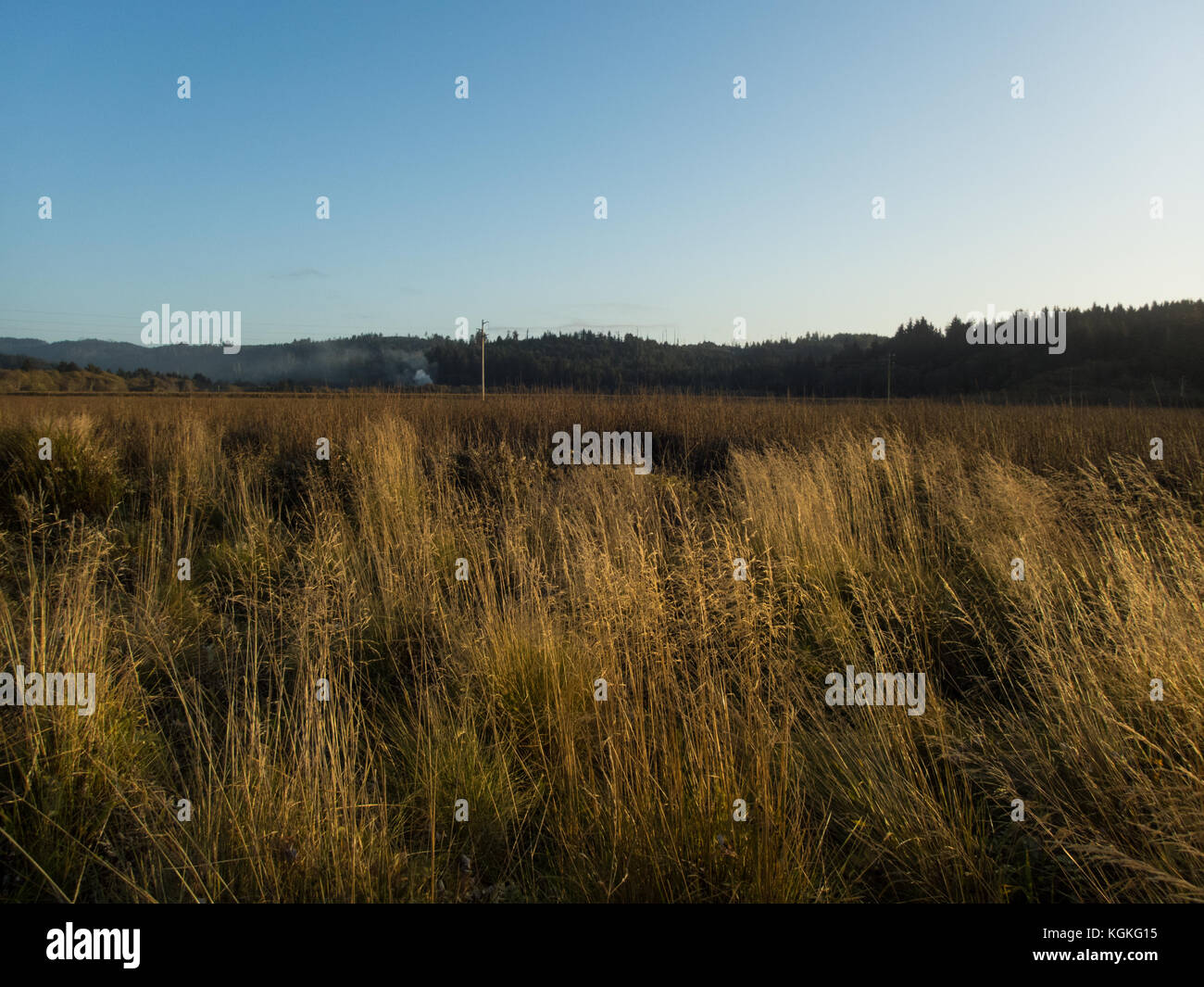 Usa deforestation hi-res stock photography and images - Alamy