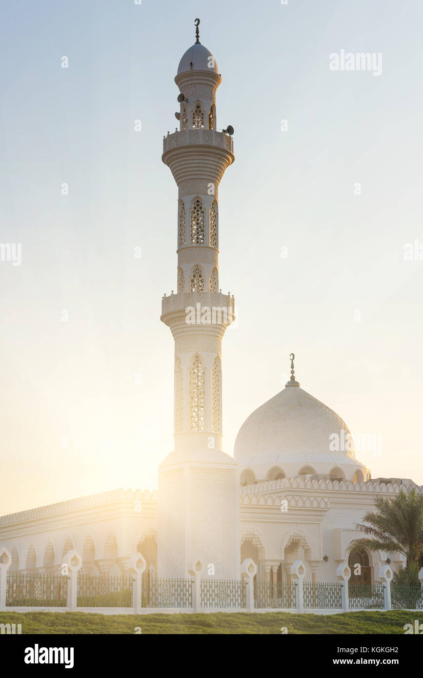 Mosque in Liwa oasis, Abu Dhabi, United Arab Emirates. Vertical shot ...