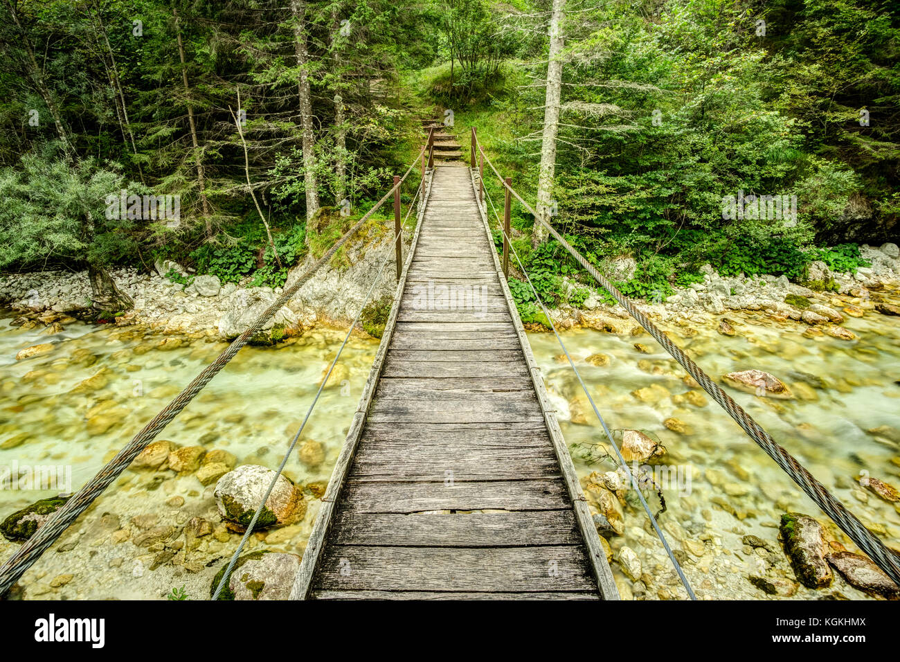 Forest rope bridge hike hi-res stock photography and images - Alamy
