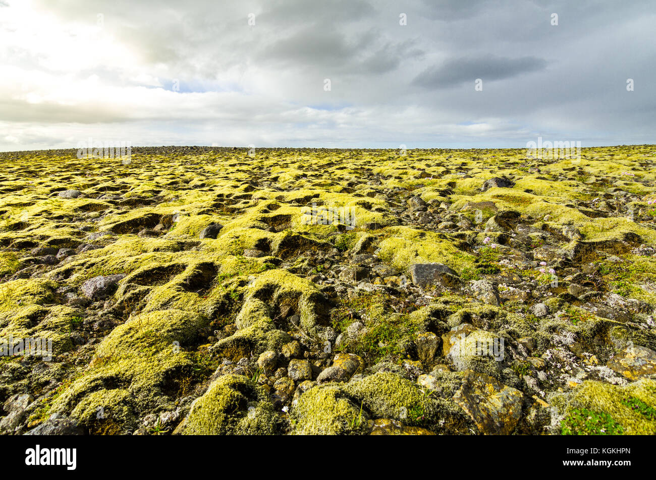 Moss covered landscape with far view to horizon and clouds Stock Photo ...