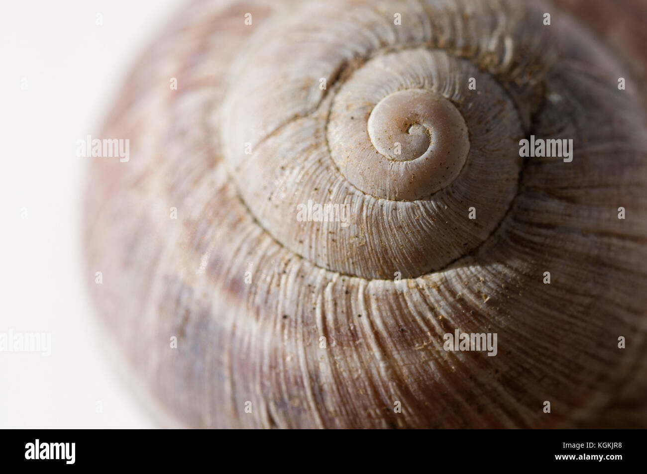 Empty Shell House High Resolution Stock Photography and Images - Alamy