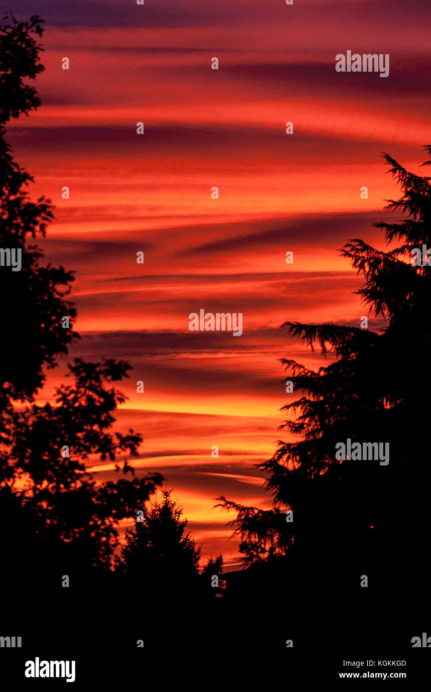 Red Sunset In Milan Italy Sky And Tree Stock Photo Alamy