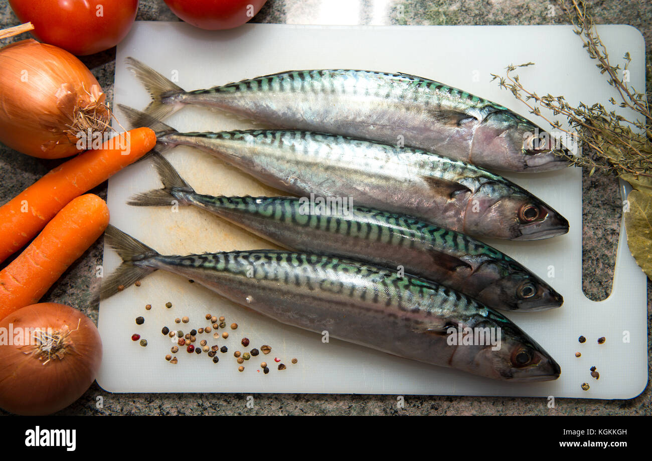 a preparation of the mackerel for cooking Stock Photo - Alamy