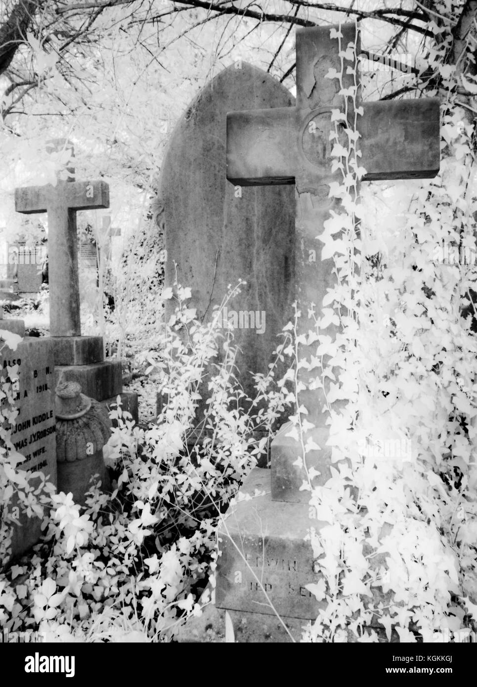 Victorian black white photograph Black and White Stock Photos & Images ...