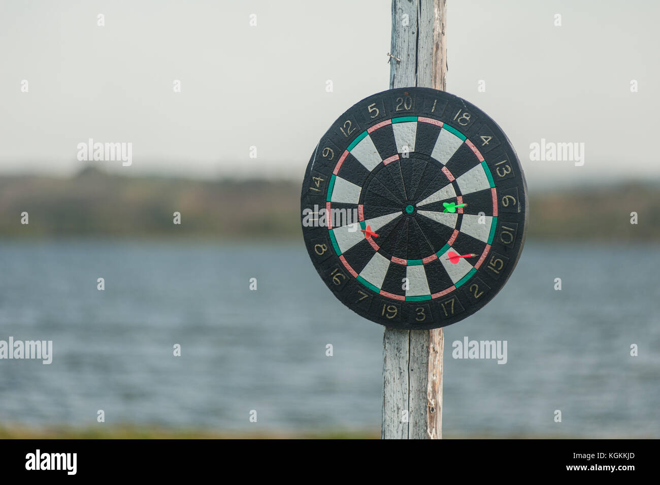 darts at the nature Stock Photo - Alamy