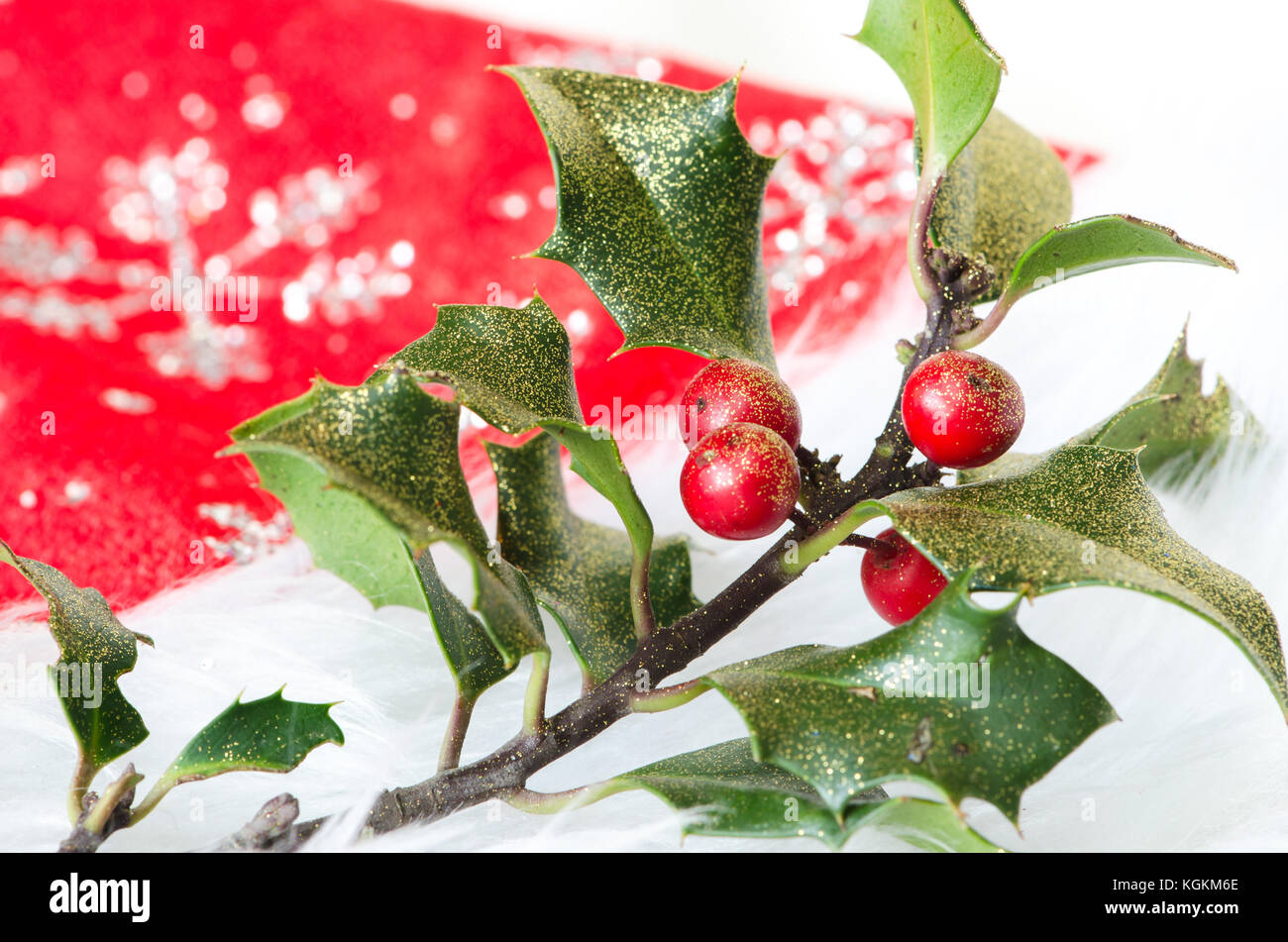 red christmas holly flower concept Stock Photo - Alamy