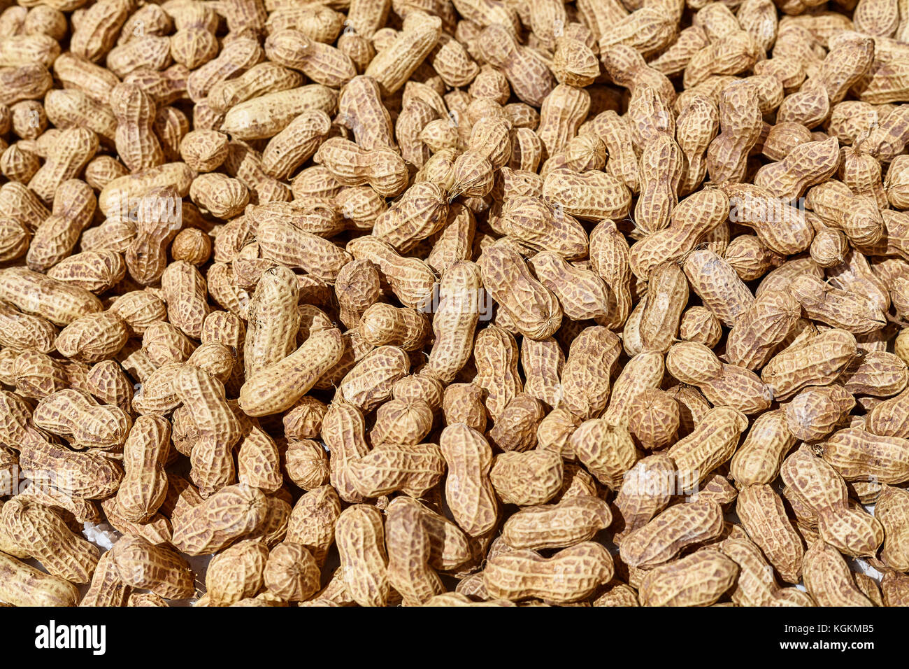 Sun drying peanuts, natural food background or pattern Stock Photo - Alamy