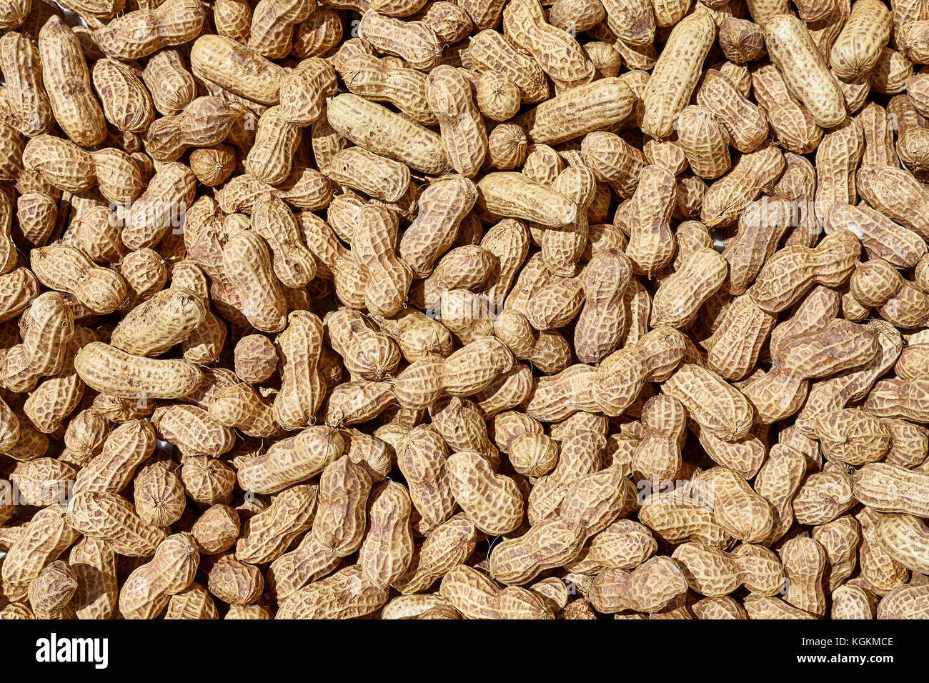 Sun drying peanuts, natural food background or pattern Stock Photo - Alamy