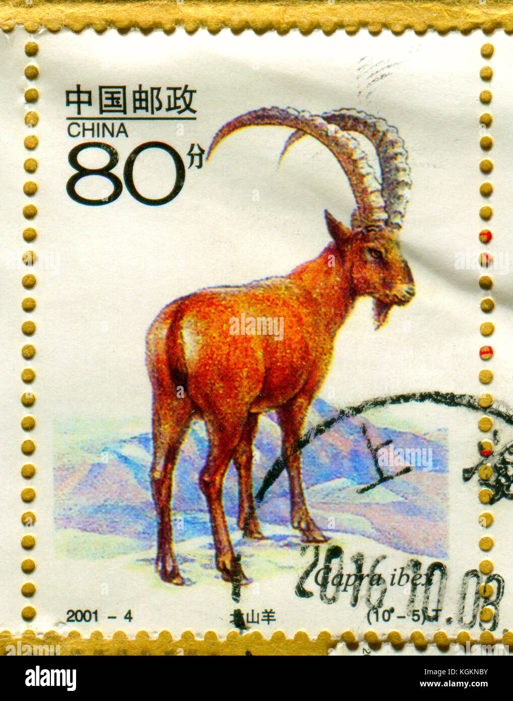 Ibex china hi-res stock photography and images - Alamy