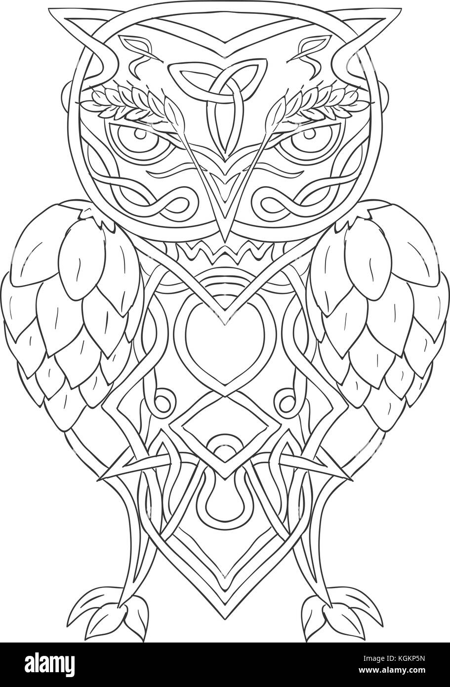 Celtic Knotwork illustration of a stylized owl with barley above eye ...