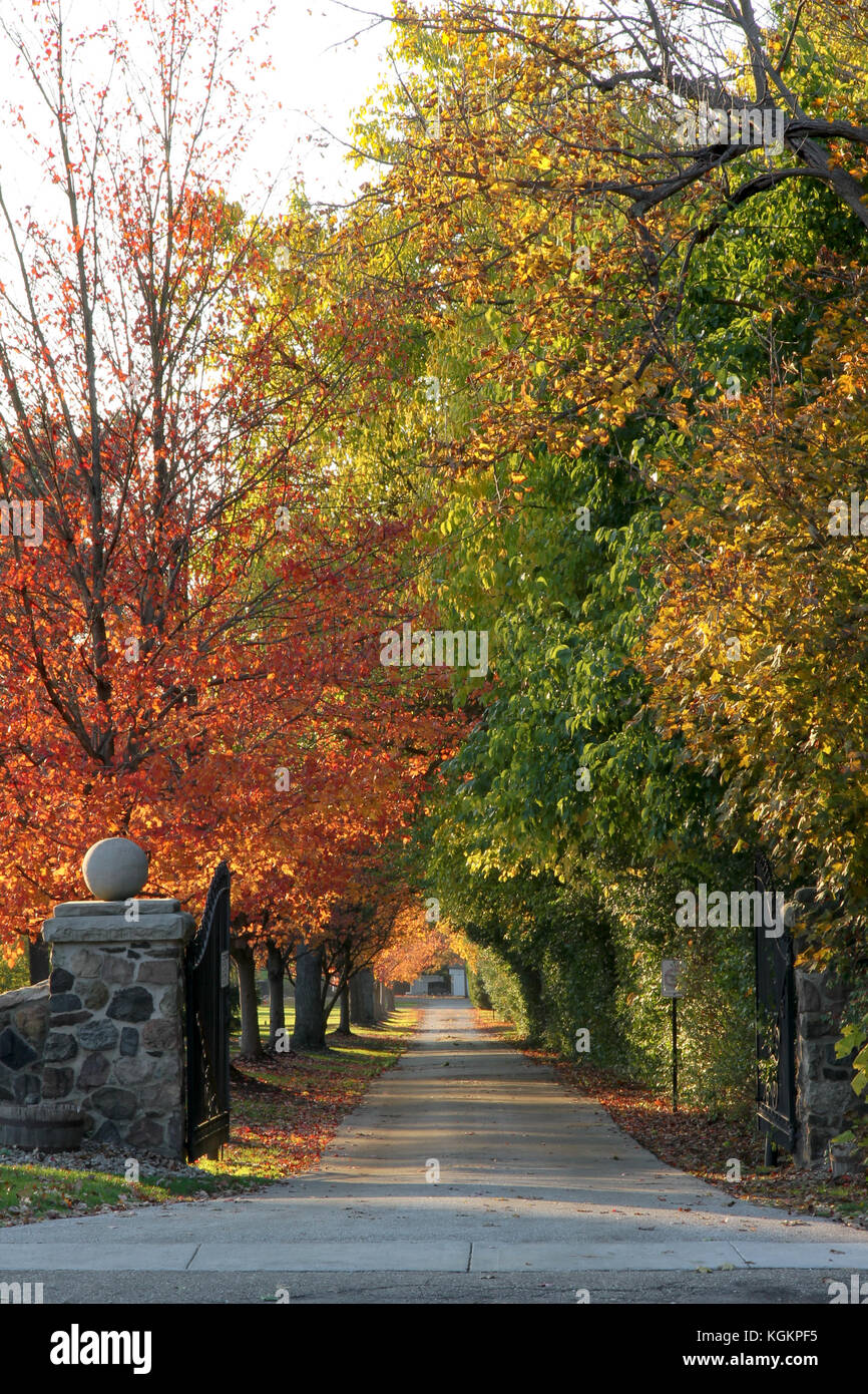 Tree shaded driveway of Markillie Cemetery, Hudson, Ohio during Autumn ...