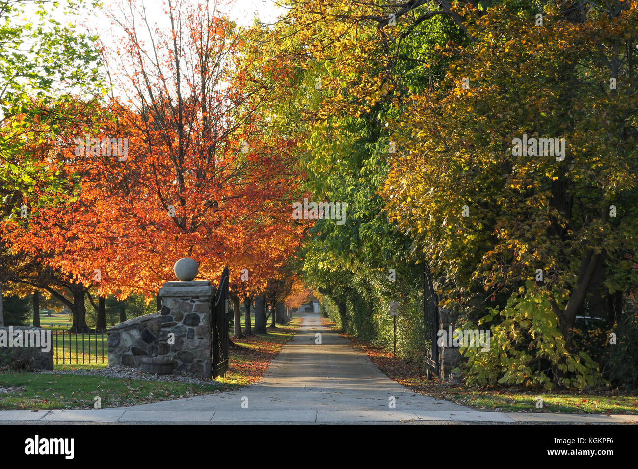 Tree shaded driveway of Markillie Cemetery, Hudson, Ohio during Autumn ...