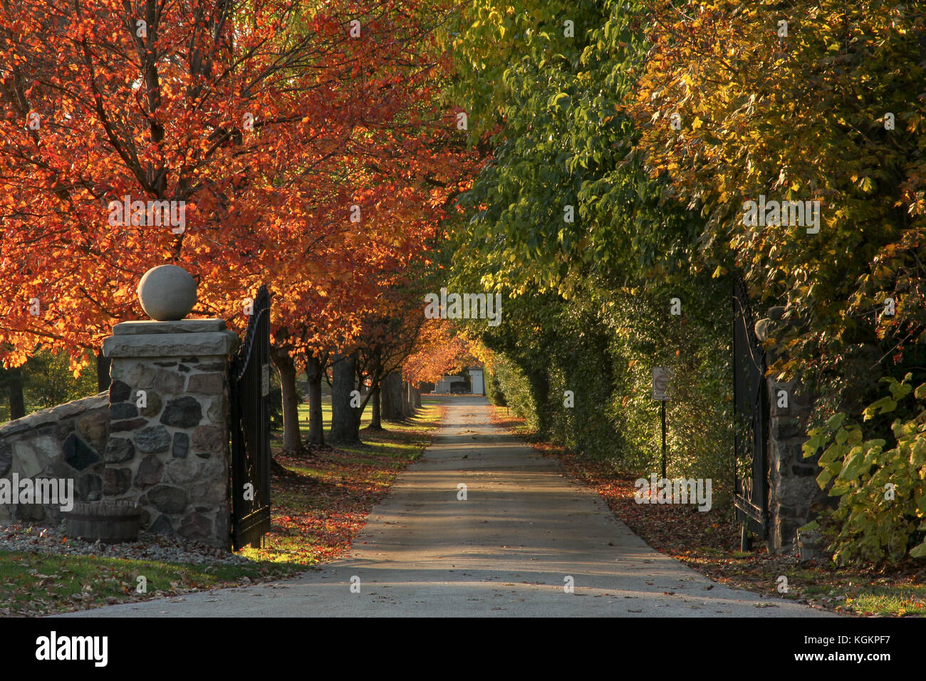 Tree shaded driveway of Markillie Cemetery, Hudson, Ohio during Autumn ...